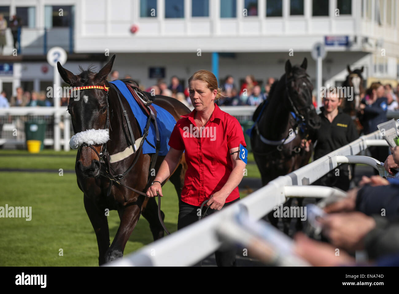 Newton abbot racecourse hi-res stock photography and images - Alamy