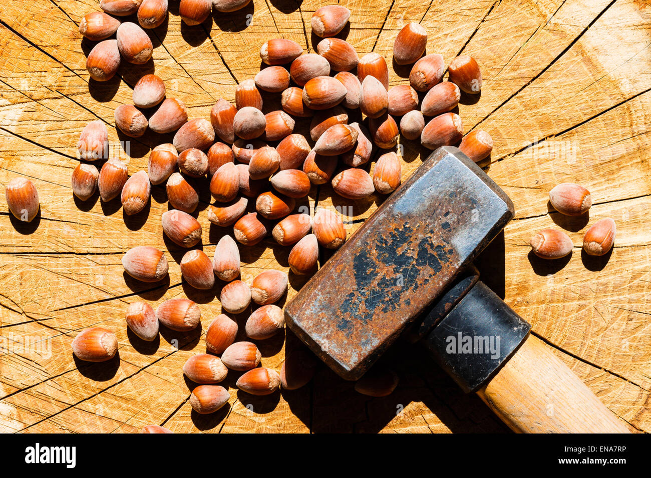 Nuts to be cracked with a hammer. On a sunny day, still life Stock ...