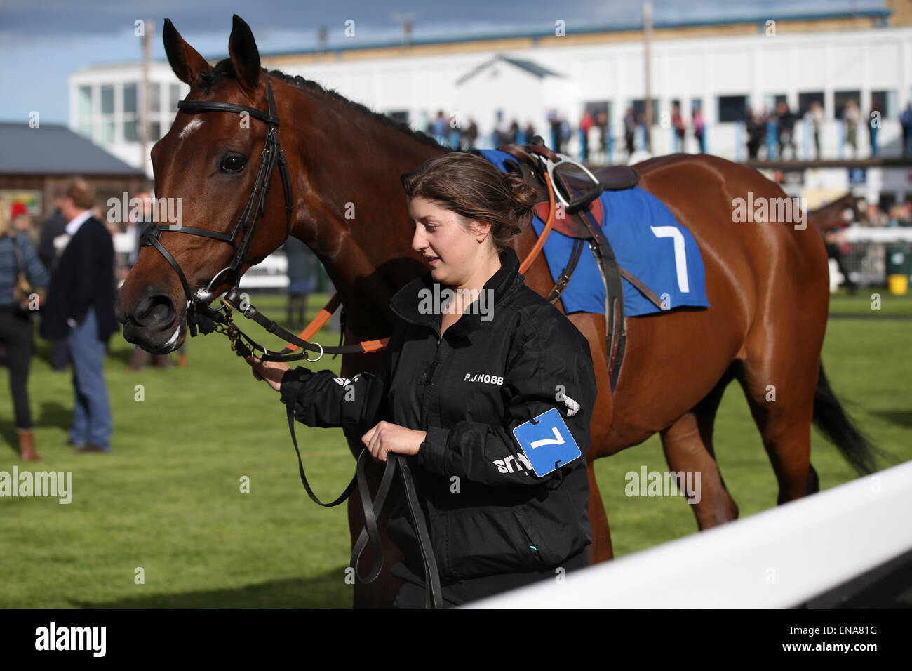Newton abbot racecourse hi-res stock photography and images - Alamy