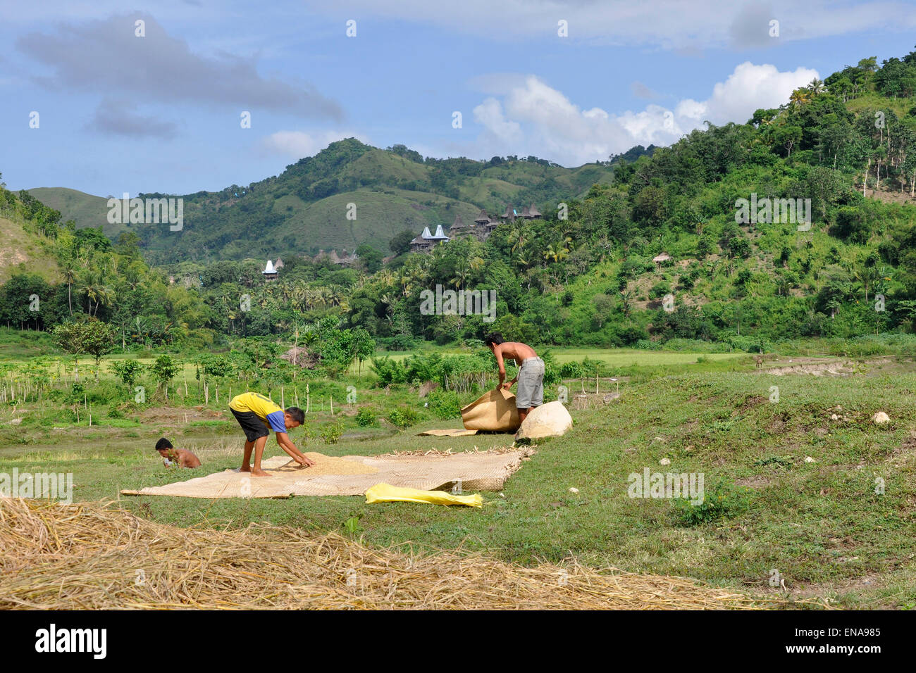 Indonesia, Sumba island, daily life Stock Photo - Alamy