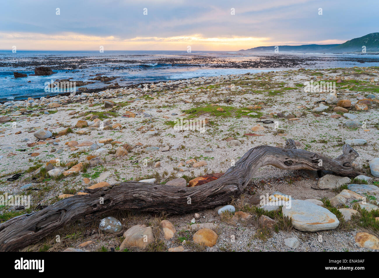 Bolder beach south africa hi-res stock photography and images - Alamy