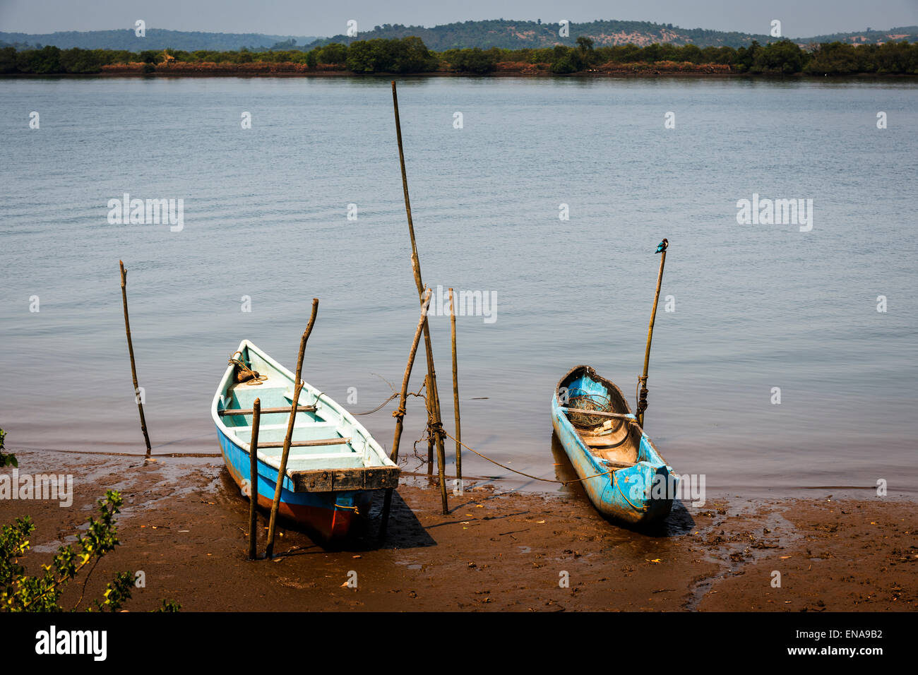 Boats on the shore of The Mandovi River, Goa Stock Photo - Alamy