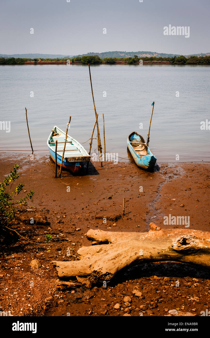 Boats on the shore of The Mandovi River, Goa Stock Photo - Alamy