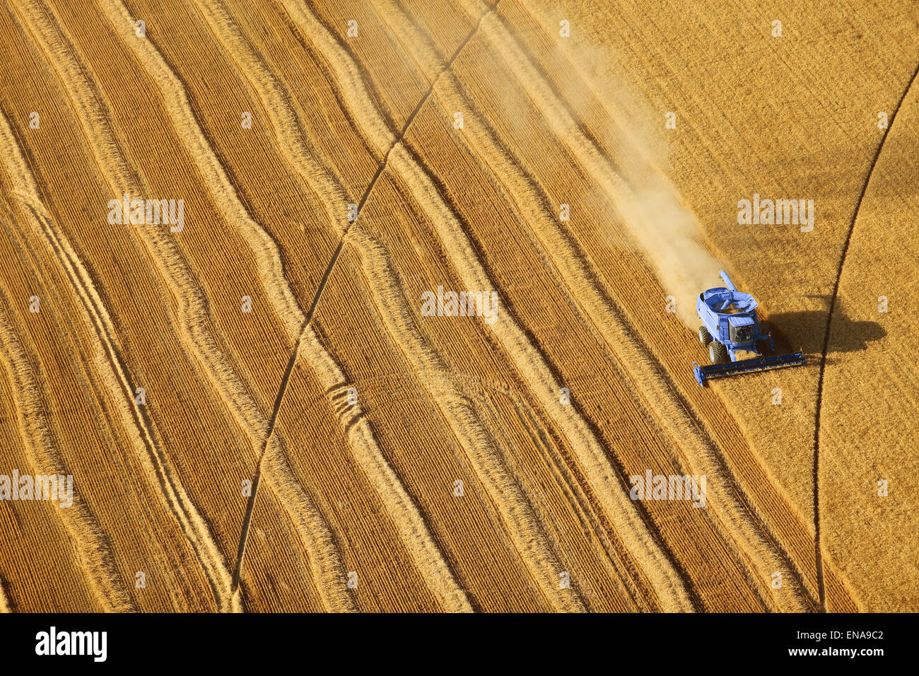 An aerial view of farm machinery in the field harvesting wheat Stock ...