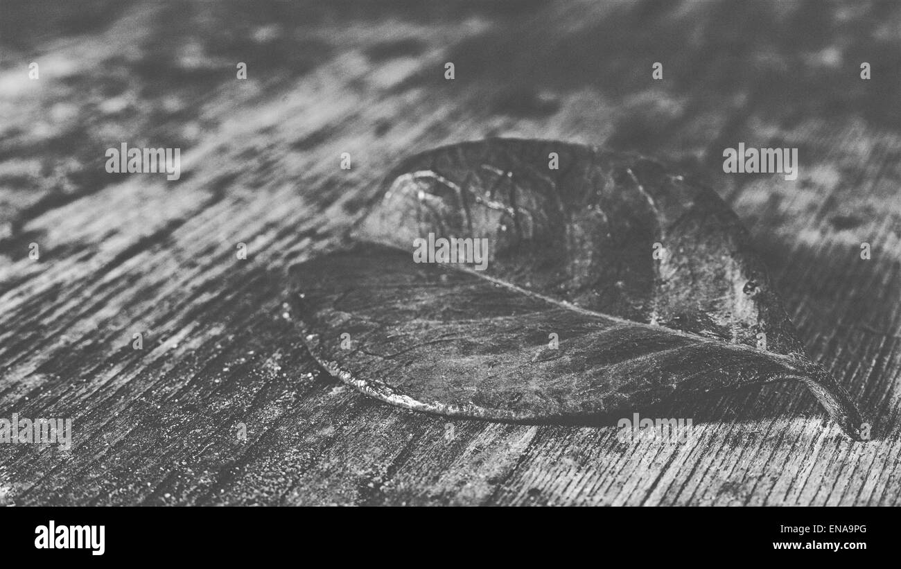 On wooden base Black and White Stock Photos & Images - Alamy