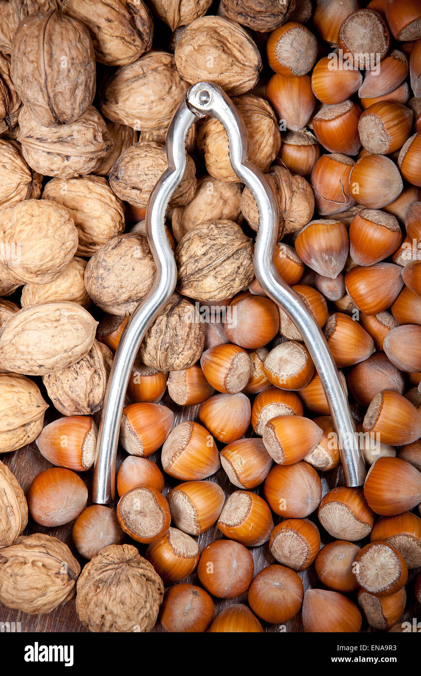 retro nutcracker on top of many dried hazelnuts and walnuts Stock Photo ...