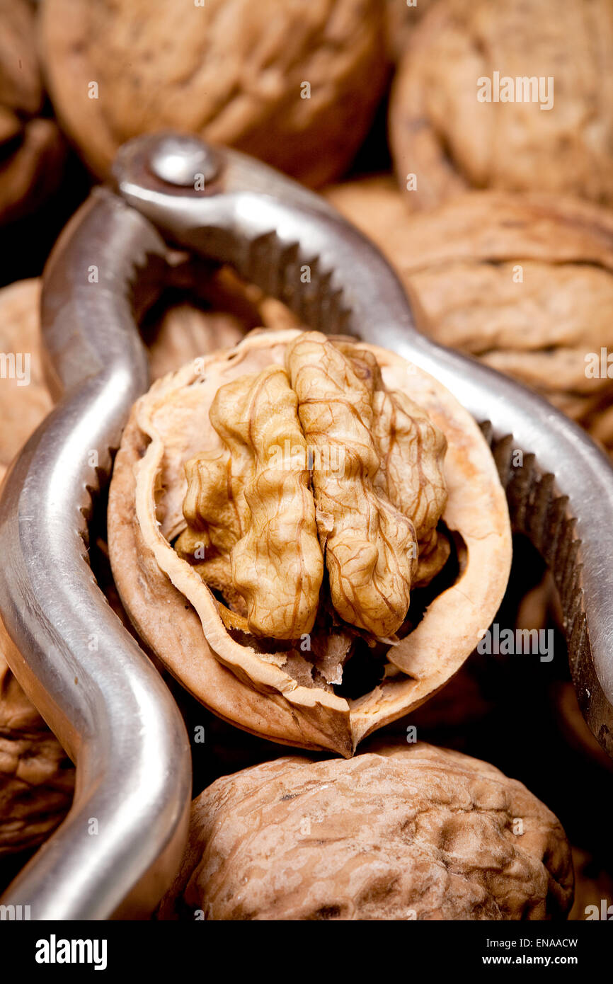 cracked walnut inside retro nutcracker, closeup Stock Photo - Alamy