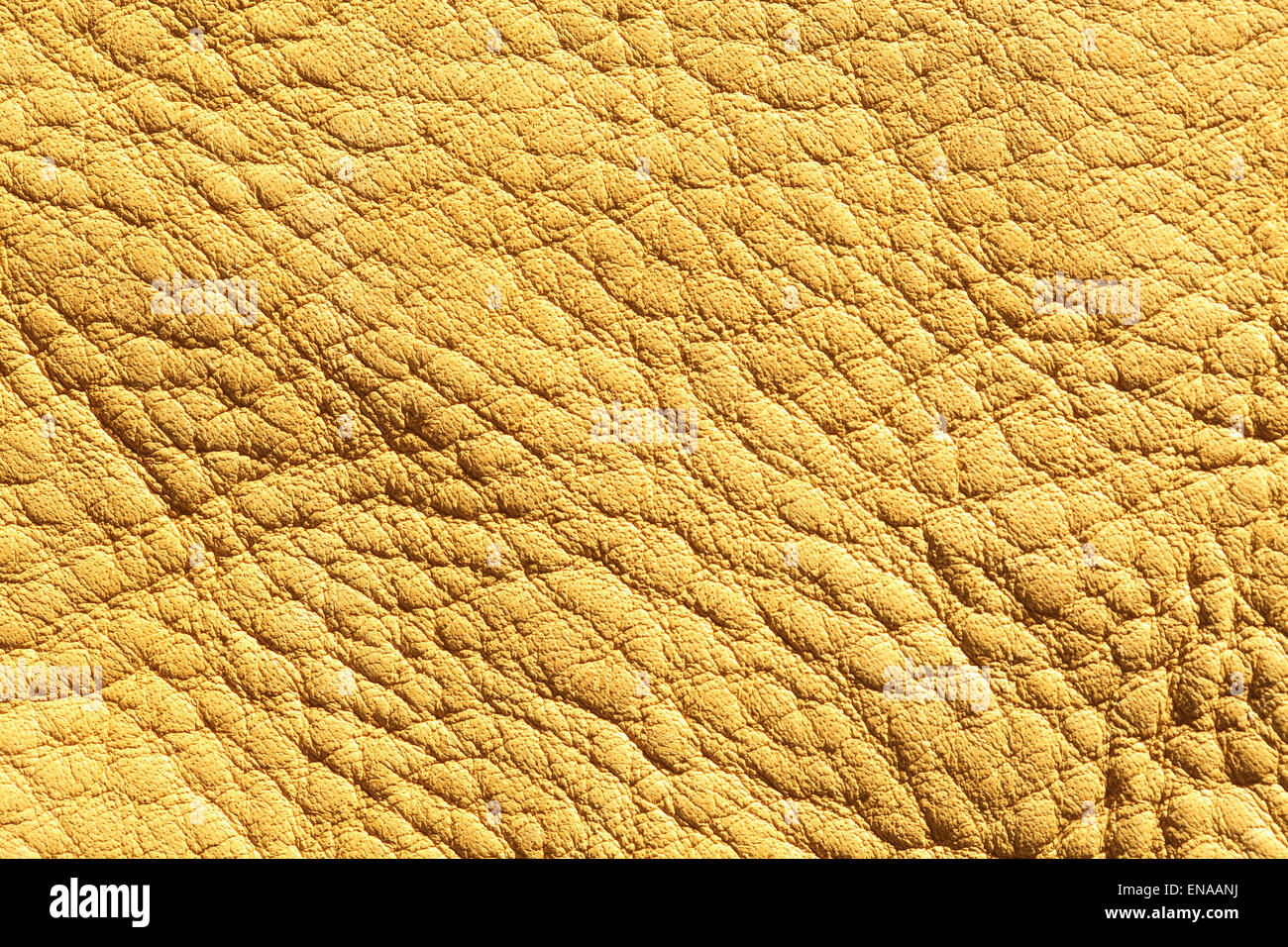 A closeup image of elk skin, suitable for a background texture Stock ...