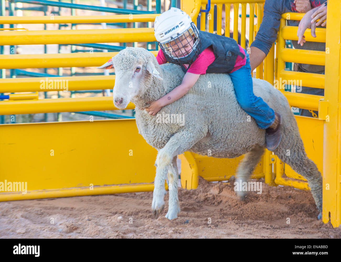 A boy riding on a sheep during a Mutton Busting contest at the Clark ...
