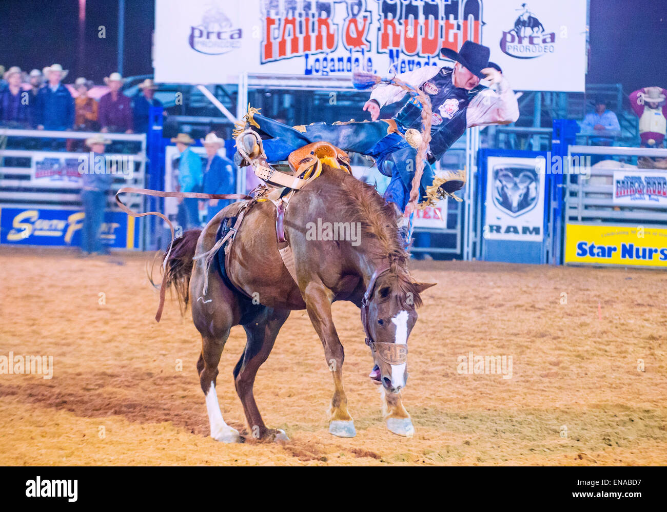 Cowboy Participating in a Bucking Horse Competition at the Clark County ...