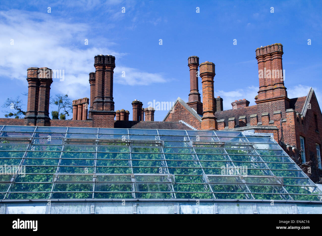 Hampton Court Palace London England UK Stock Photo - Alamy