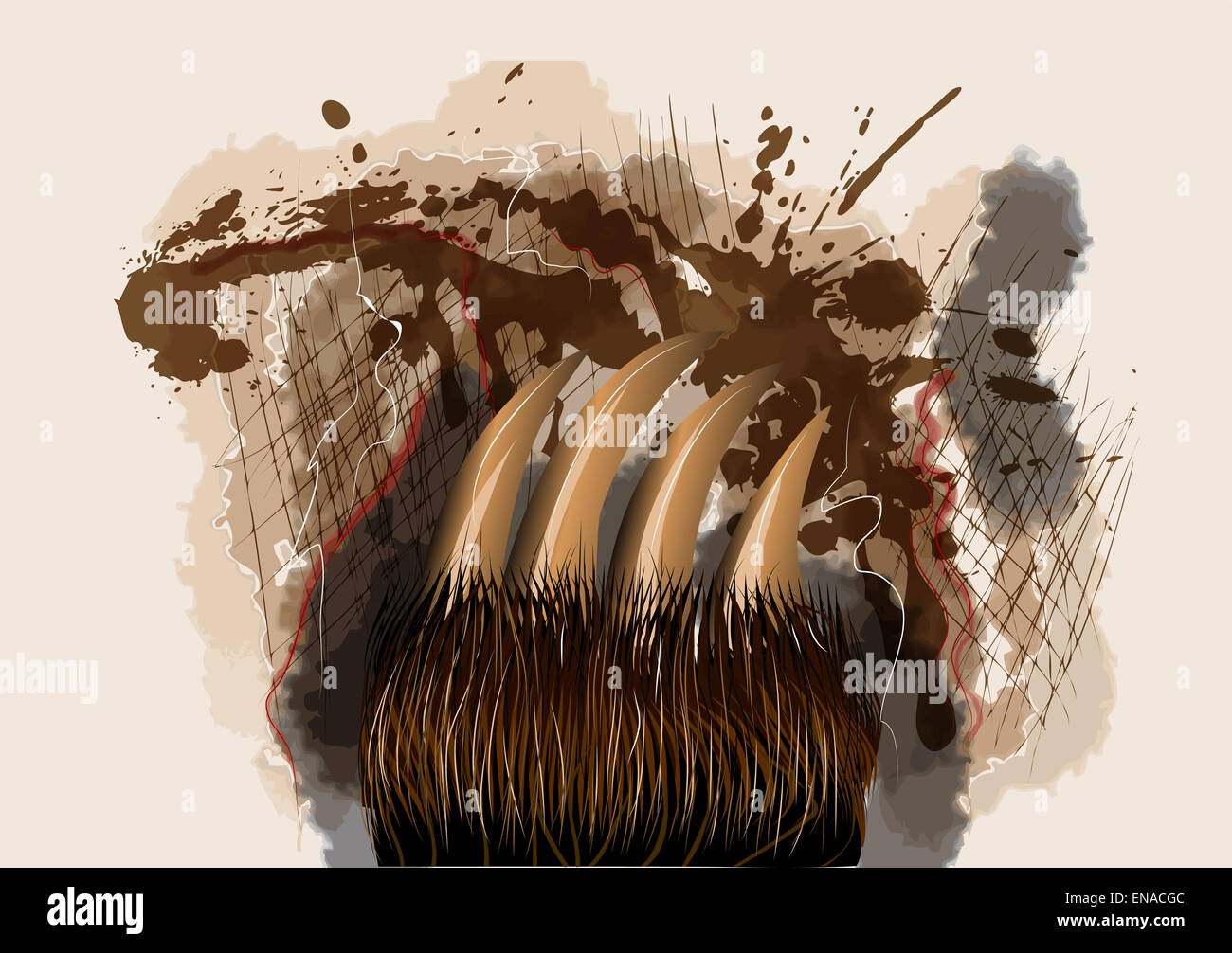 claws of animal Stock Photo - Alamy