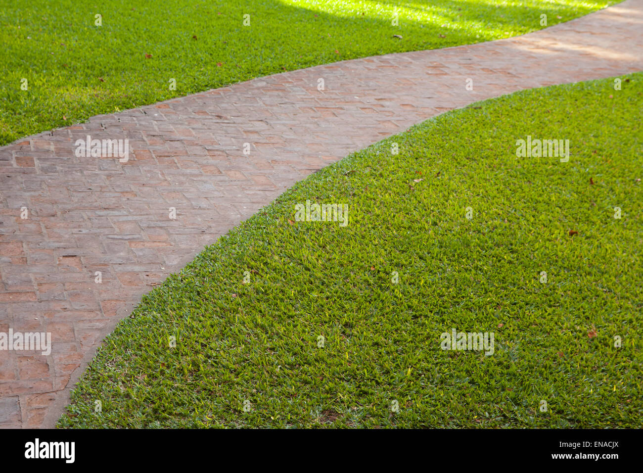 Old brick background with weeds hi-res stock photography and images - Alamy