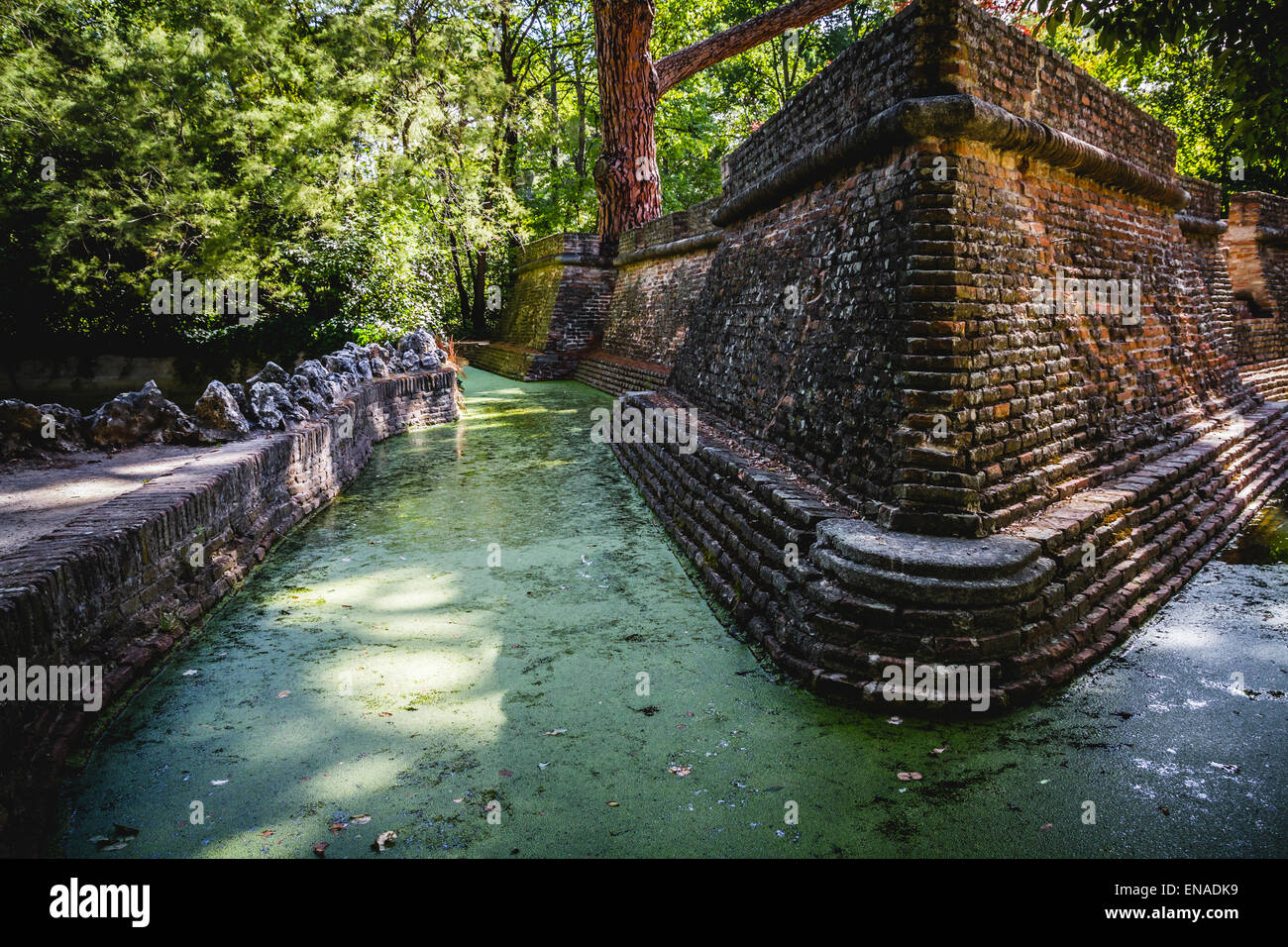 castle, building in ruins on a green swamp with water Stock Photo - Alamy