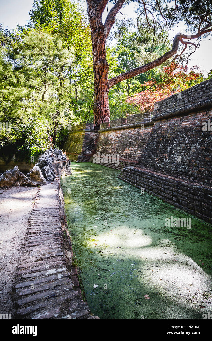 building in ruins on a green swamp with water Stock Photo - Alamy