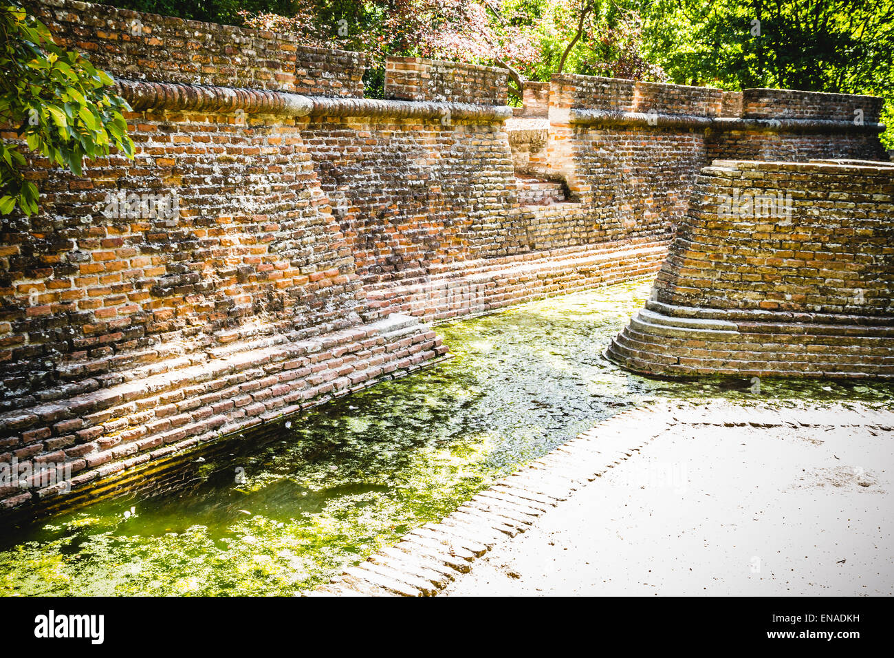 mystery, building in ruins on a green swamp with water Stock Photo - Alamy