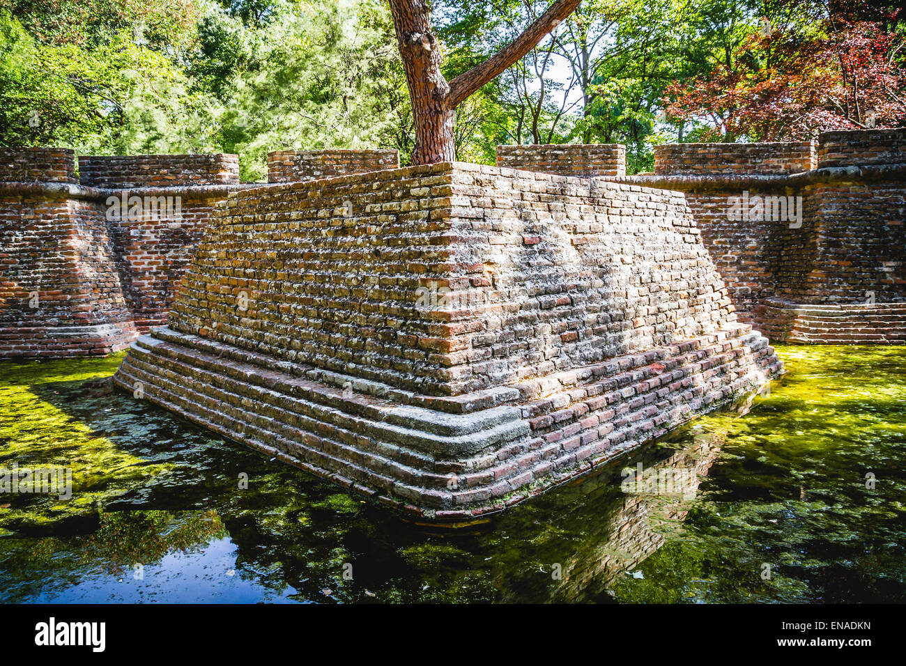 tranquil, building in ruins on a green swamp with water Stock Photo - Alamy