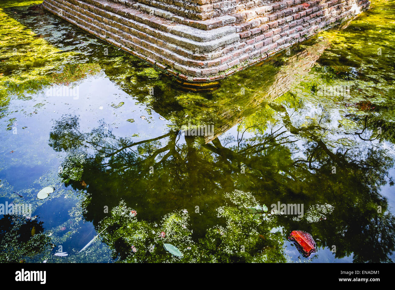 pond, building in ruins on a green swamp with water Stock Photo - Alamy