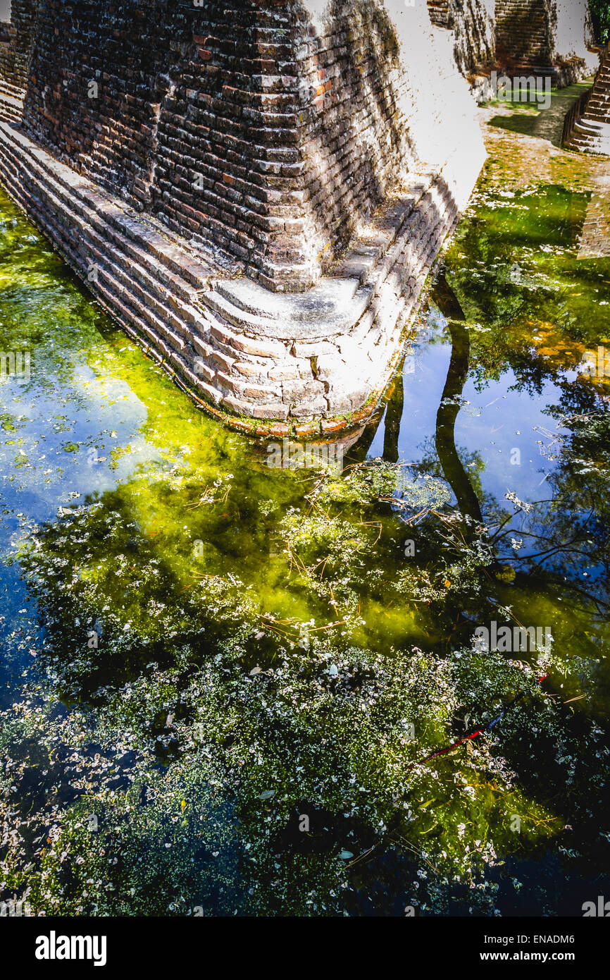 environment, building in ruins on a green swamp with water Stock Photo ...