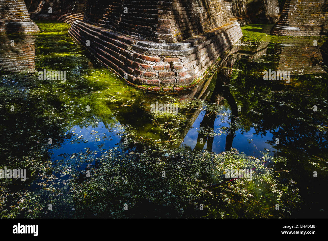 environment, building in ruins on a green swamp with water Stock Photo ...
