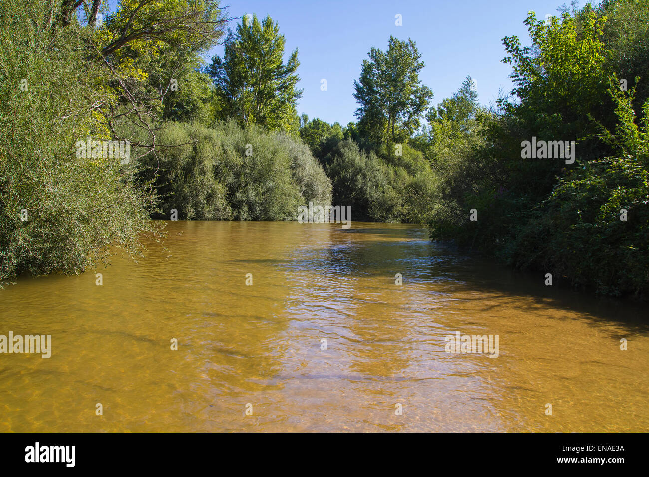 nature, alberche riverbank in Toledo, Castilla La Mancha, Spain Stock ...
