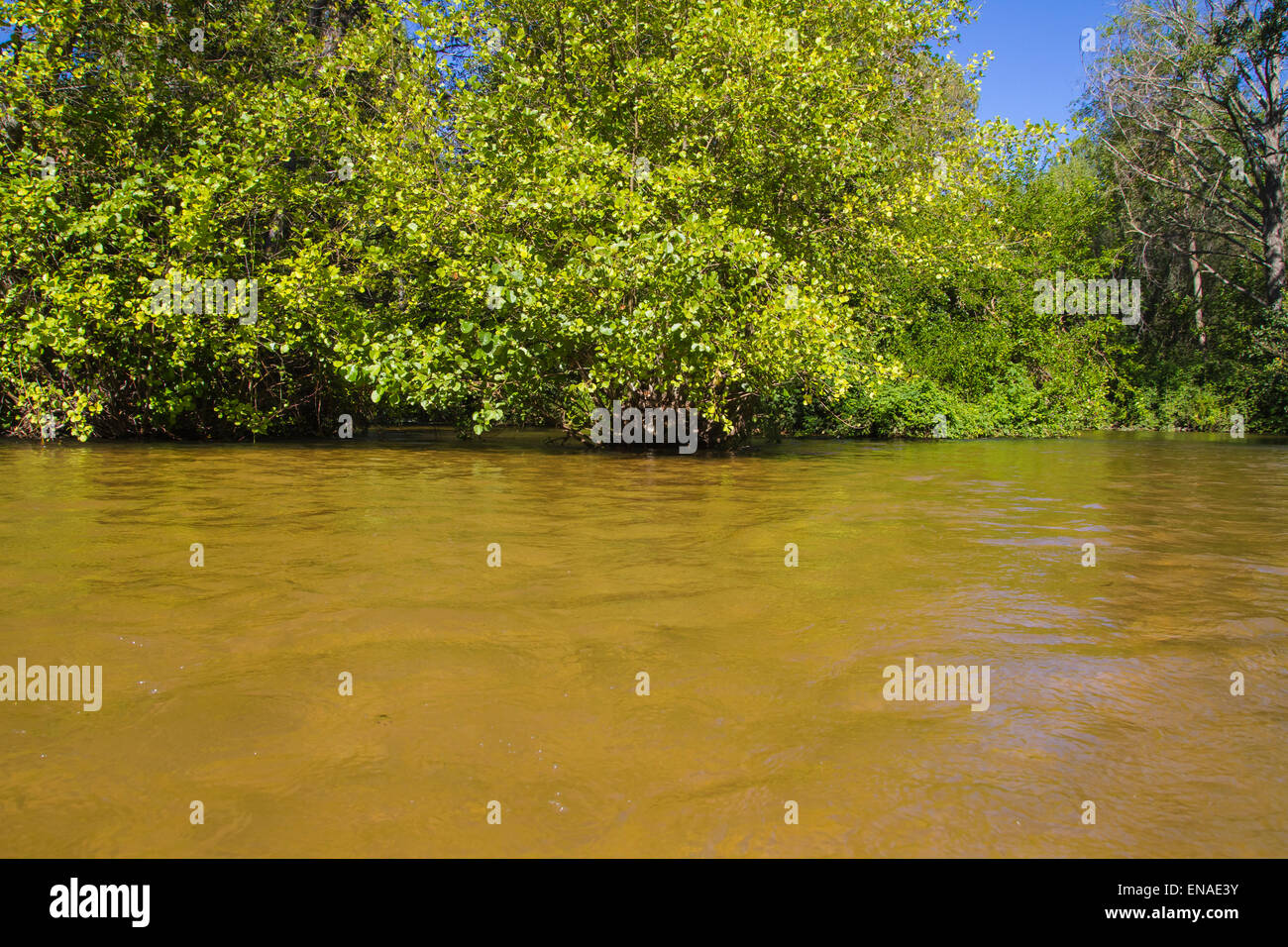 alberche riverbank in Toledo, Castilla La Mancha, Spain Stock Photo - Alamy