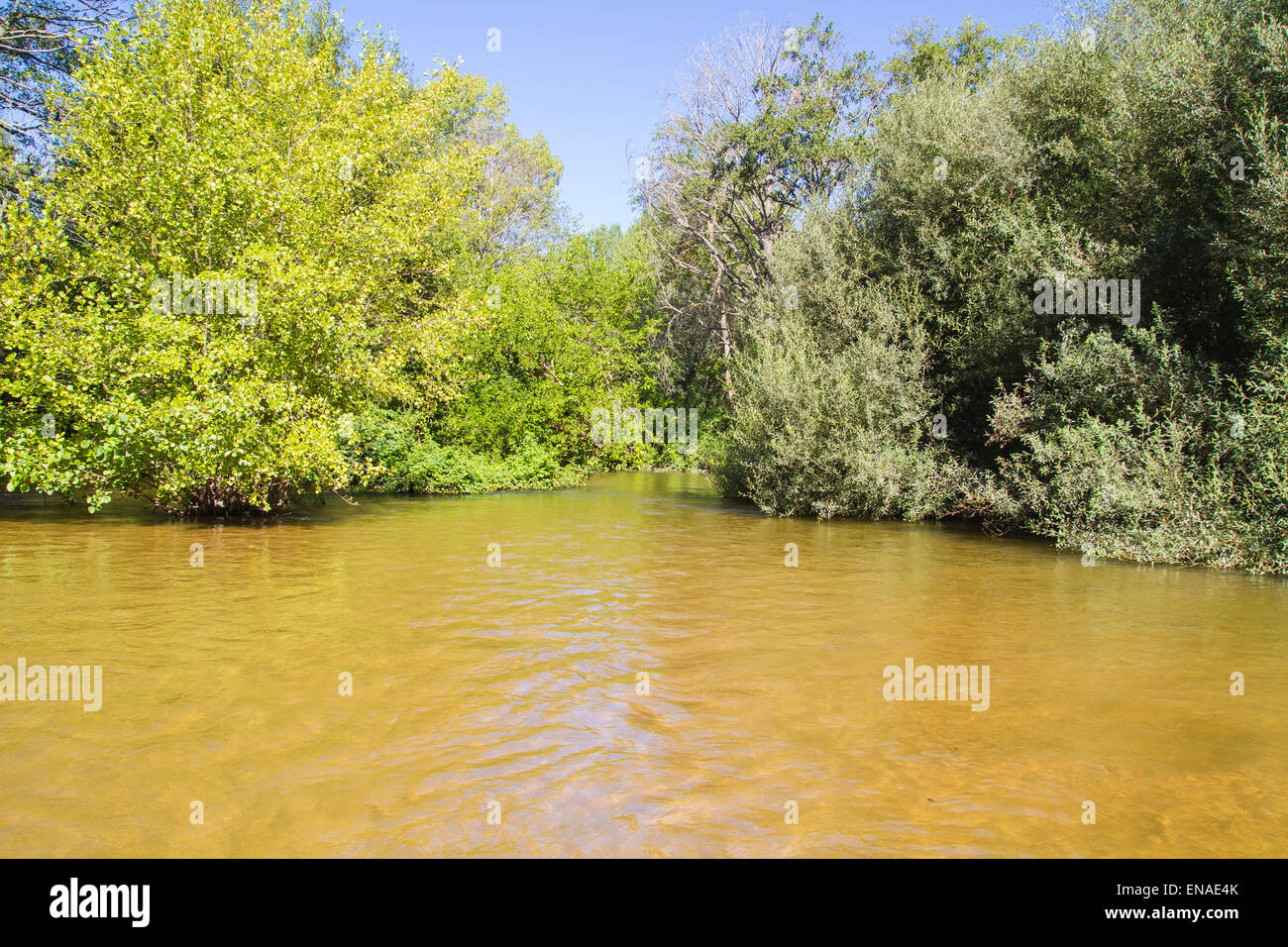 mediterranean river, alberche riverbank in Toledo, Castilla La Mancha ...