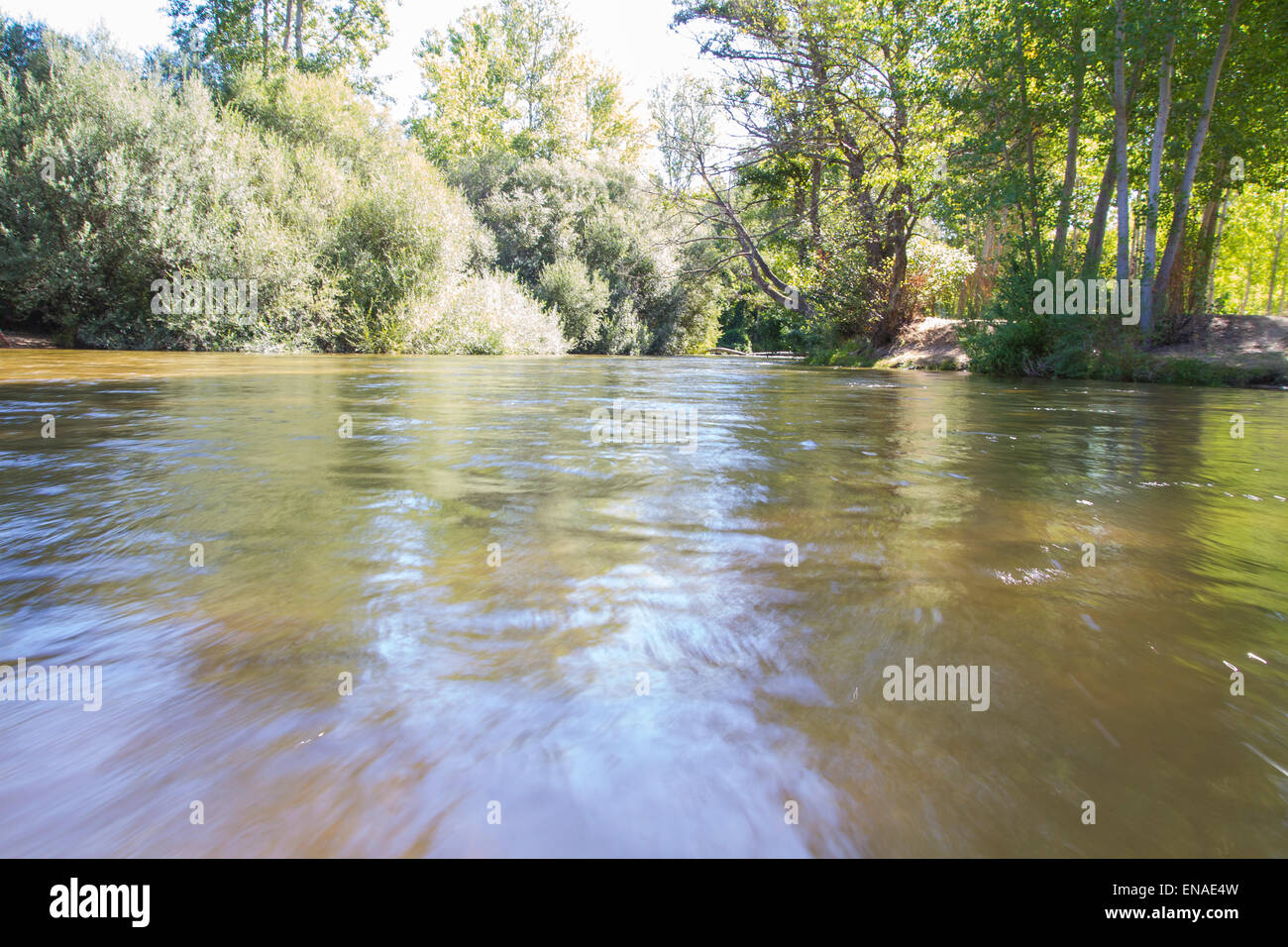 mediterranean river, alberche riverbank in Toledo, Castilla La Mancha ...