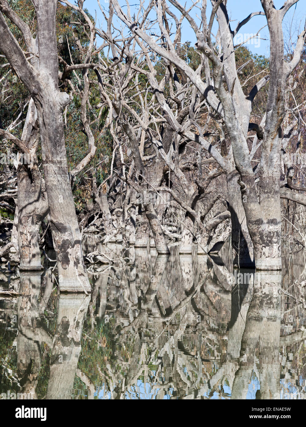 Chain of shallow ephemeral freshwater lakes hi-res stock photography ...