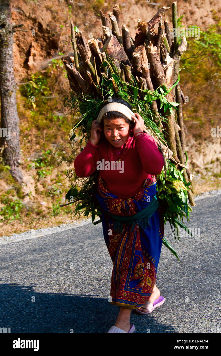 Nepalese porters use a head strap (locally called a namlo) to support a ...
