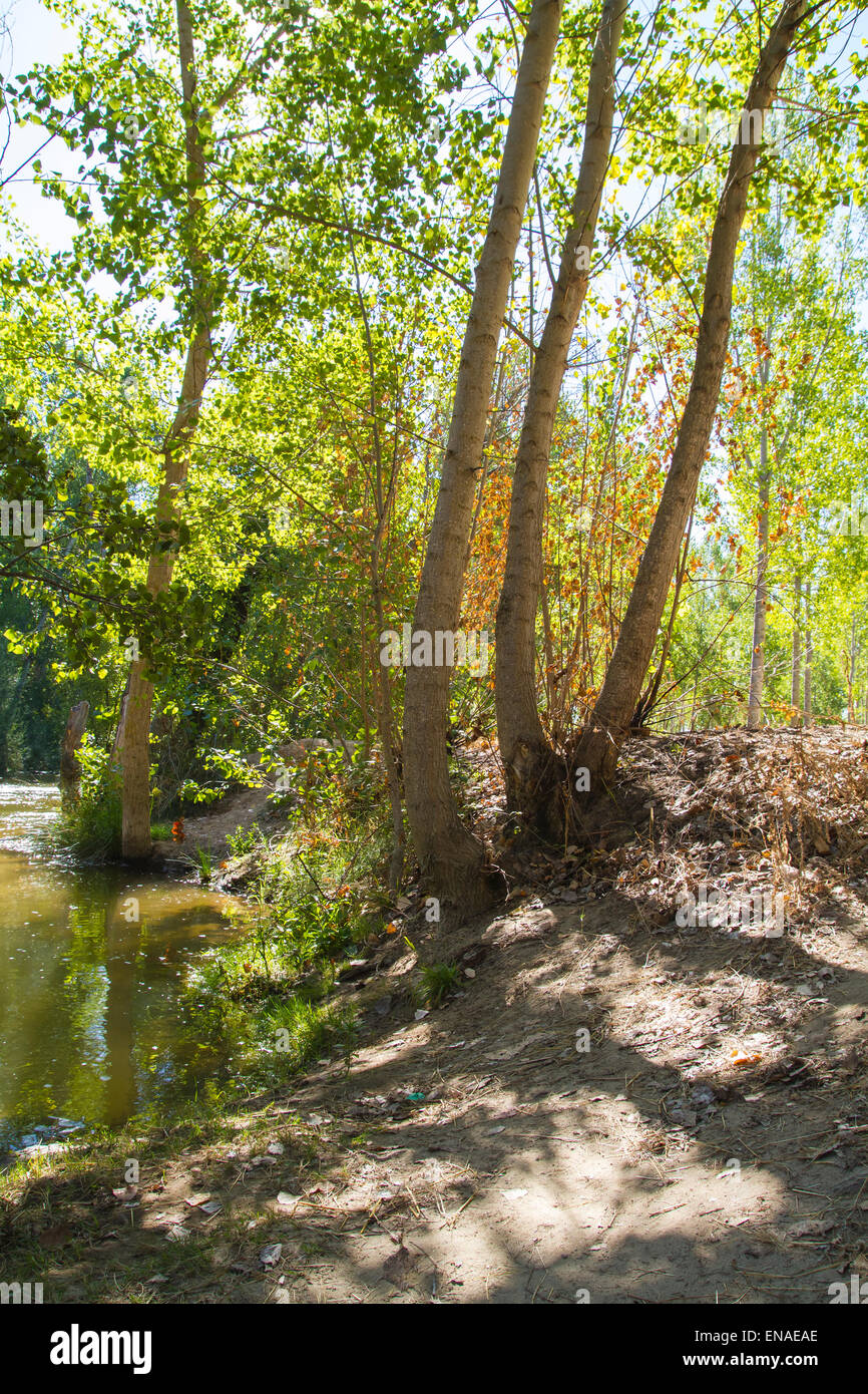 alberche riverbank in Toledo, Castilla La Mancha, Spain Stock Photo - Alamy