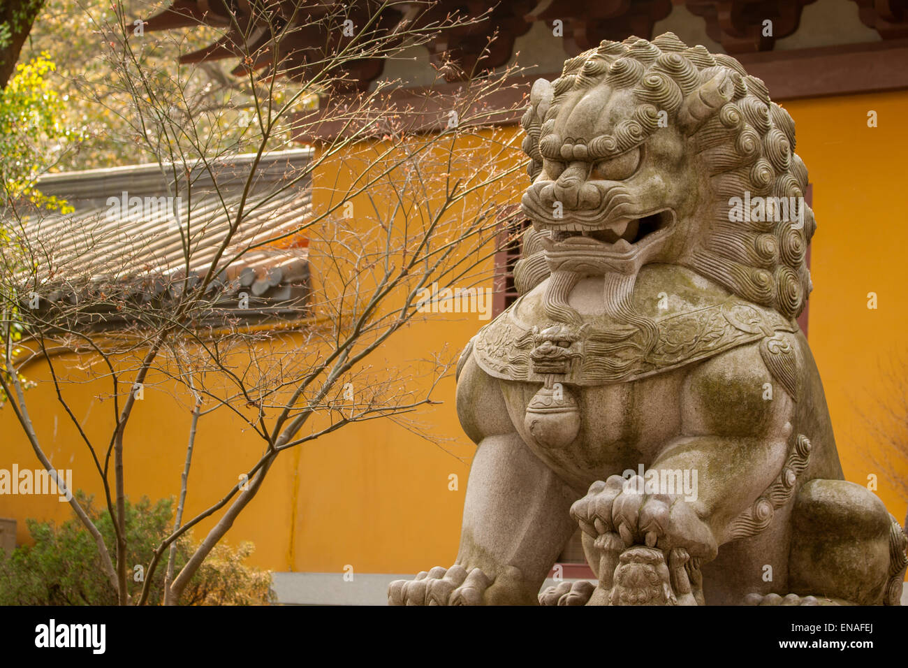 Guardian lion statue Stock Photo - Alamy Guardian lion statue Stock Photo - Alamy