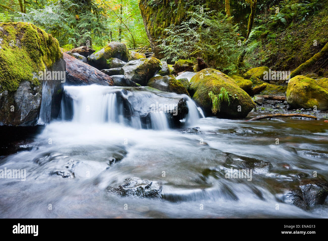 Waterfalls in the Columbia River Gorge, Oregon Stock Photo - Alamy