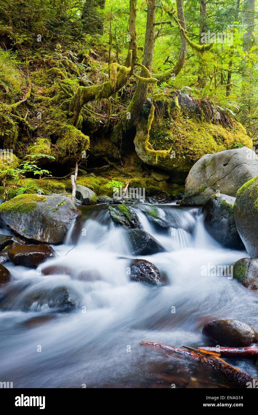 Oregon waterfalls columbia gorge waterfalls hi-res stock photography ...