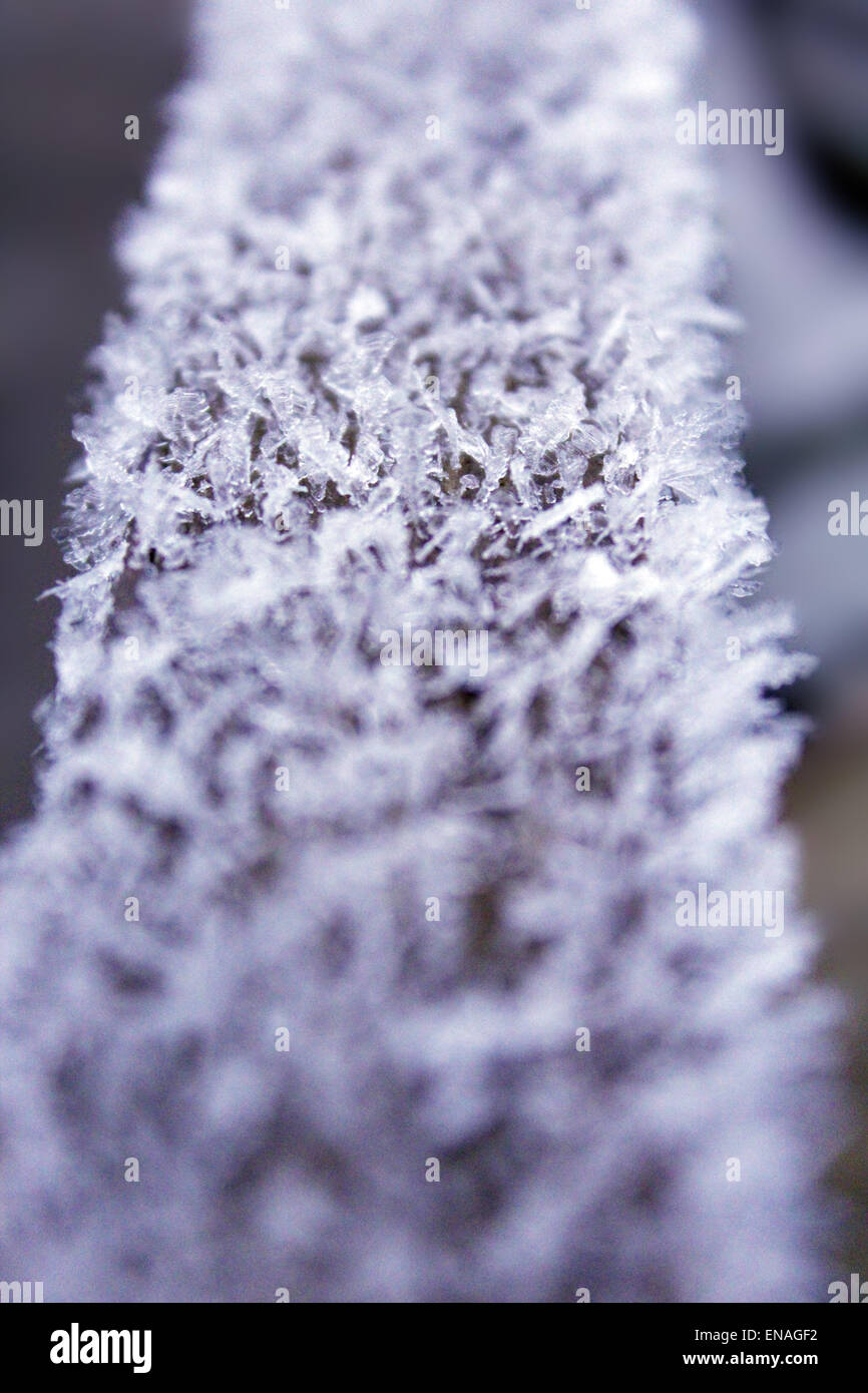 Frost on the wood hi-res stock photography and images - Alamy