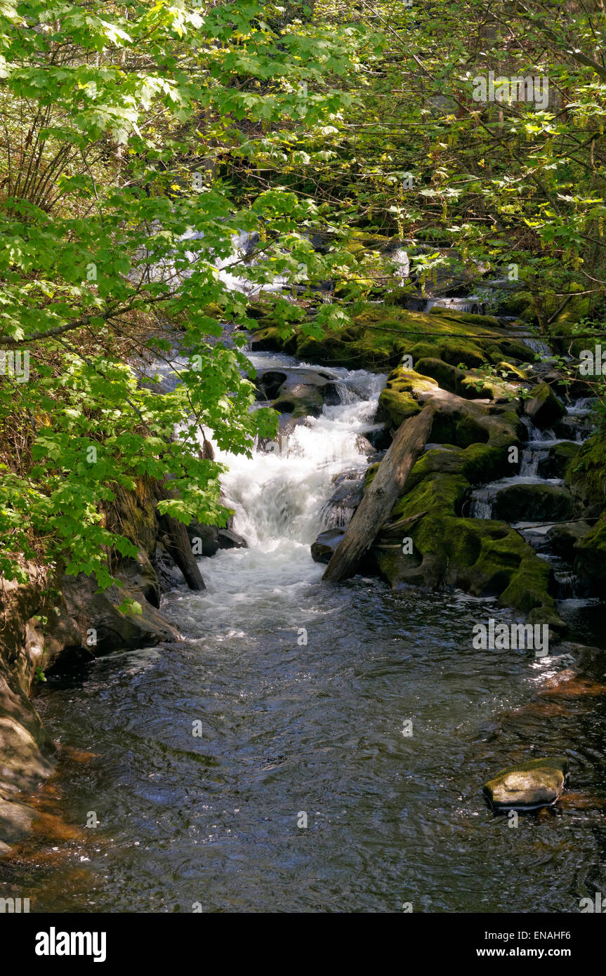 Whatcom creek hi-res stock photography and images - Alamy