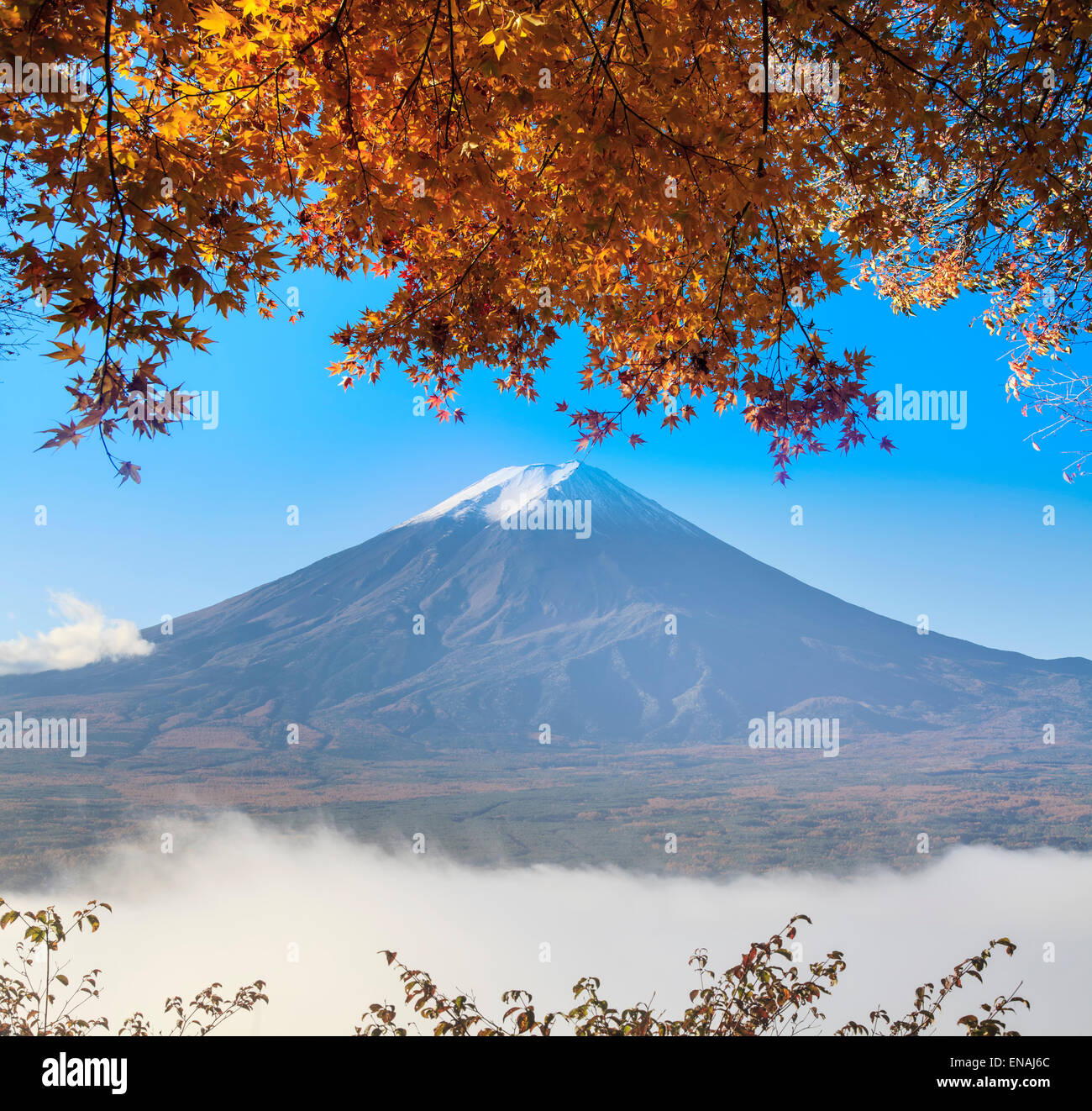 Mt. Fuji with fall colors in japan for adv or others purpose use Stock ...