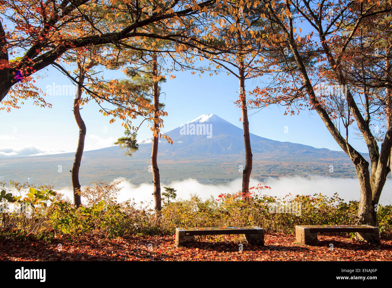 Mt. Fuji with fall colors in japan for adv or others purpose use Stock ...
