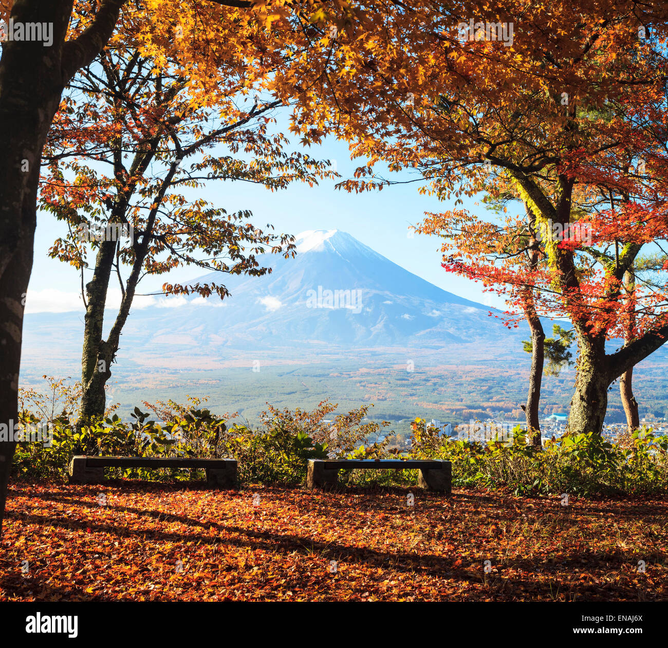 Mt. Fuji with fall colors in japan for adv or others purpose use Stock ...