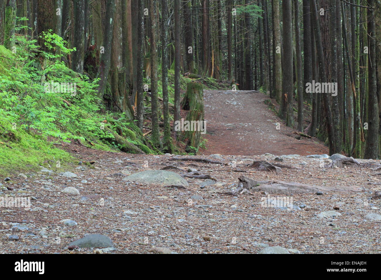 Silent trail hi-res stock photography and images - Alamy