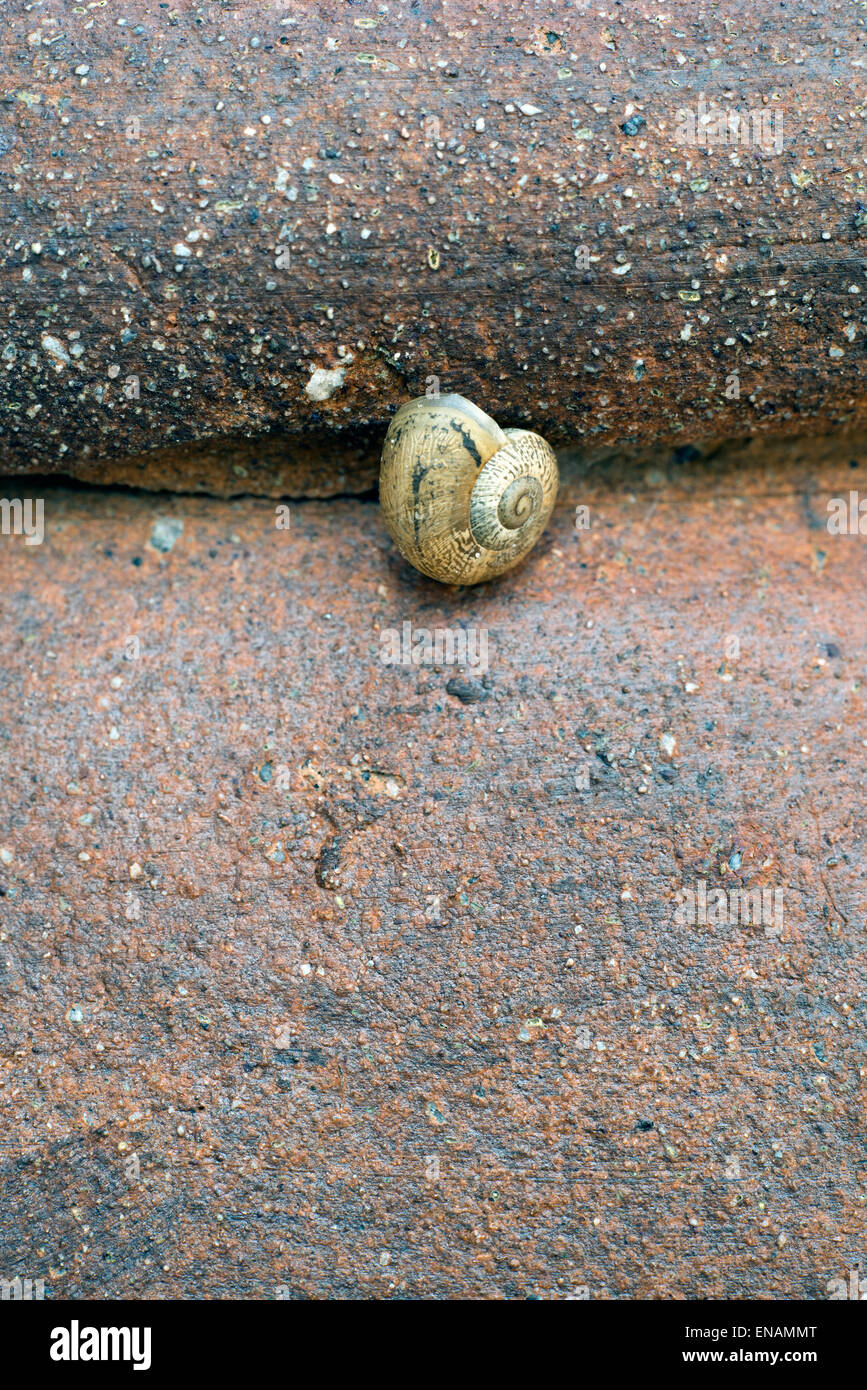 Terracotta animal hi-res stock photography and images - Alamy