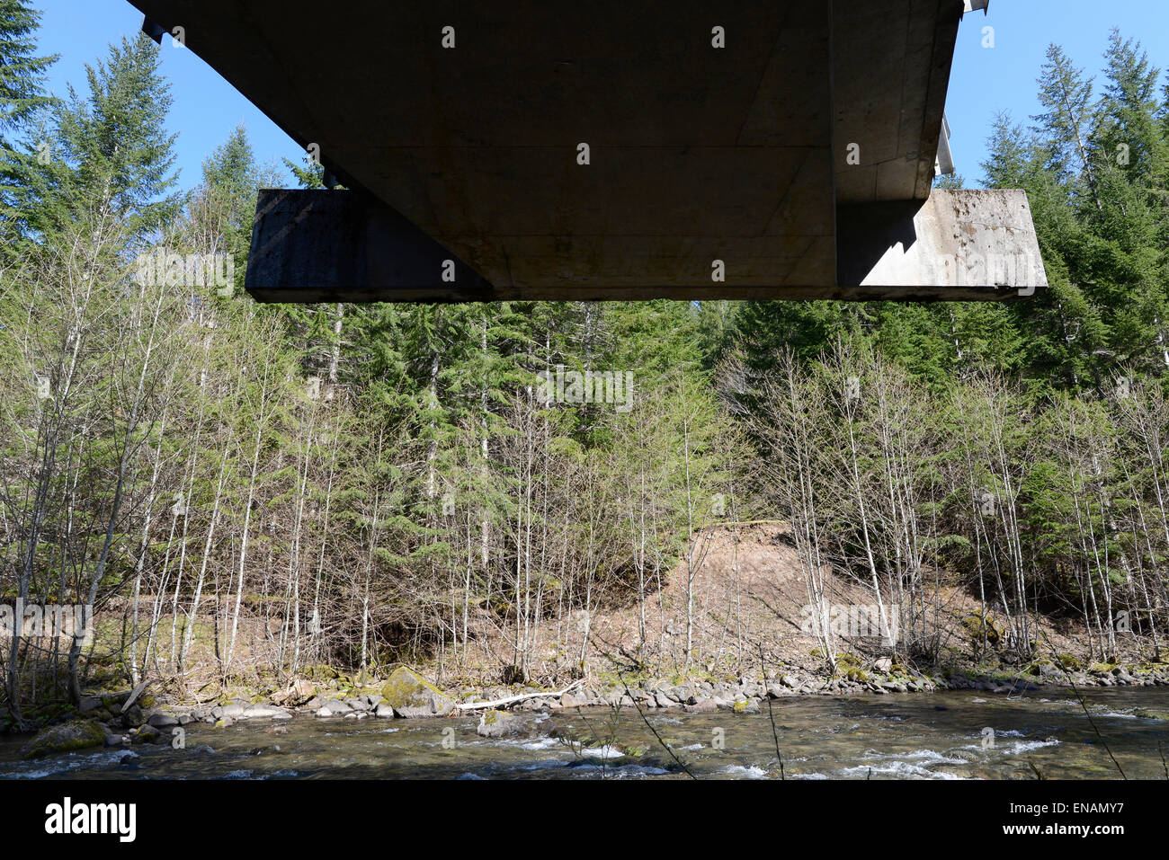 Partially completed bridge, Willamette National Forest, Oregon Stock ...