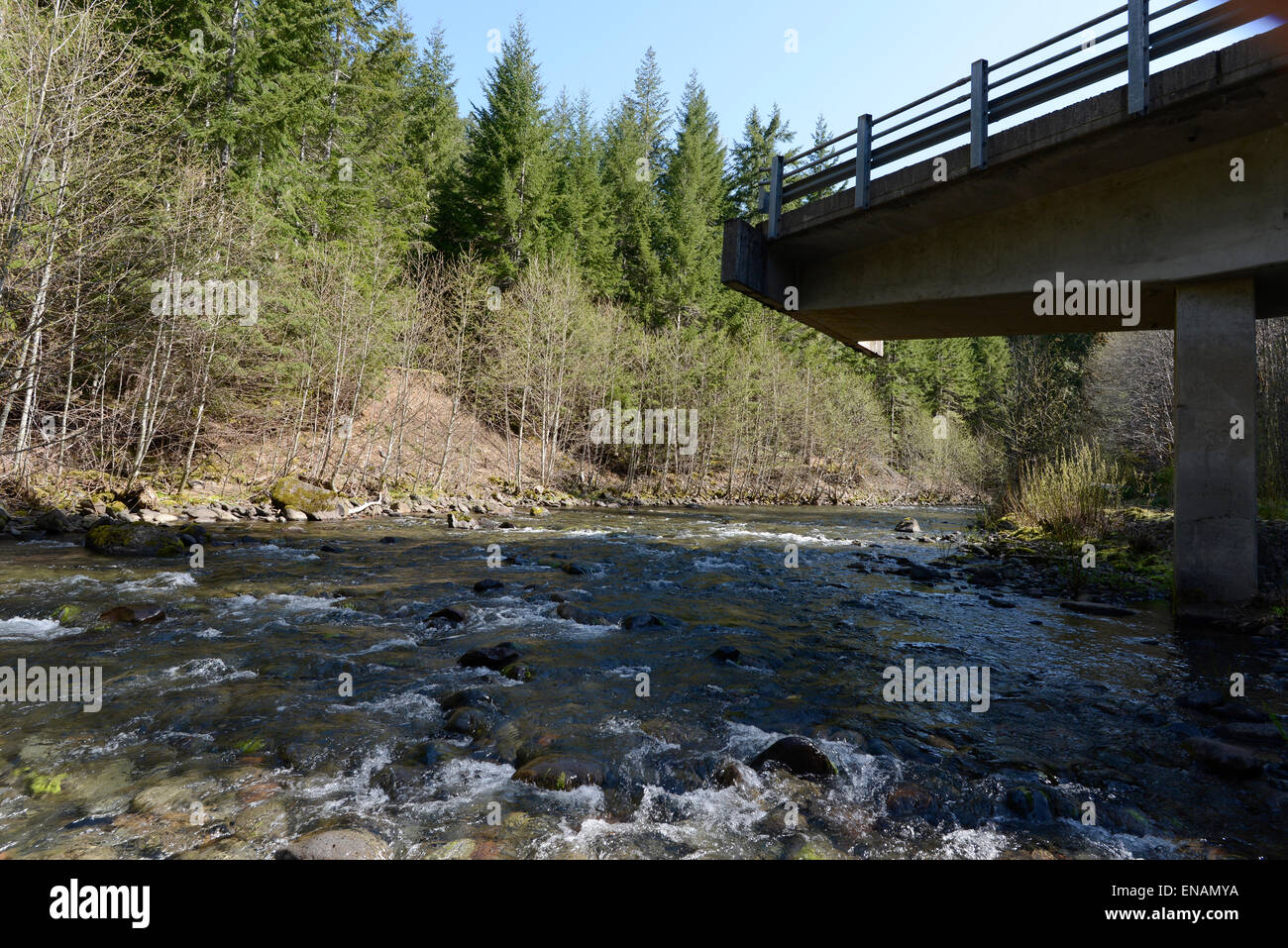 Partially completed bridge, Willamette National Forest, Oregon Stock ...