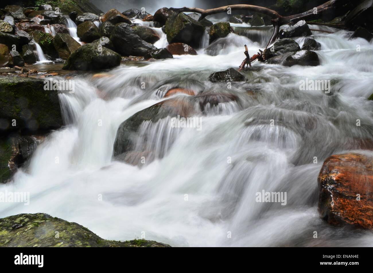 Motion in nature hi-res stock photography and images - Alamy