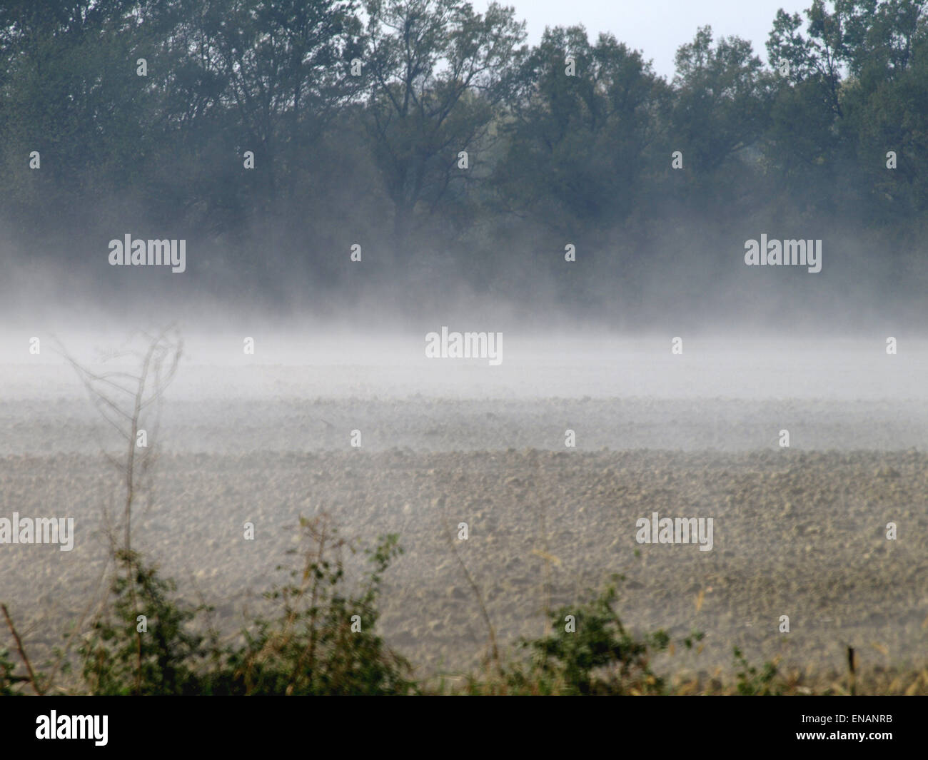 Fog over the fields hi-res stock photography and images - Alamy