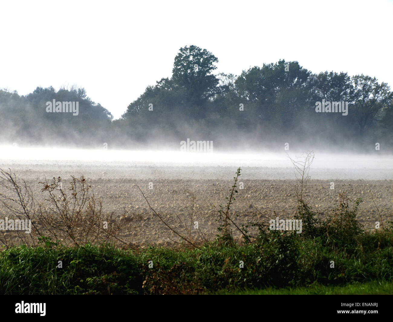 Fog over fields hi-res stock photography and images - Alamy