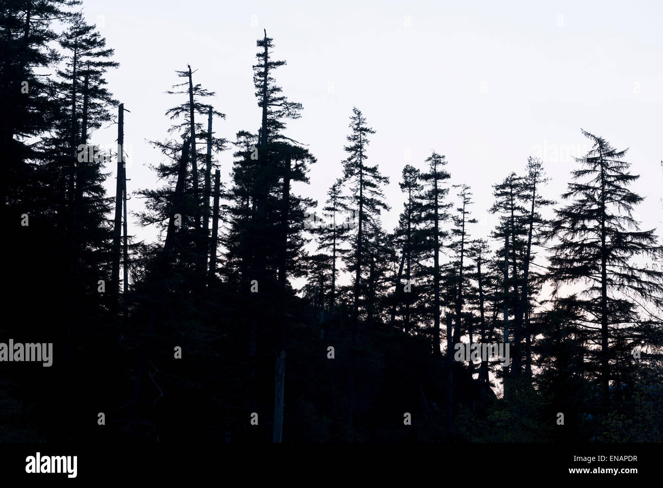 Cascade silhouette hi-res stock photography and images - Alamy