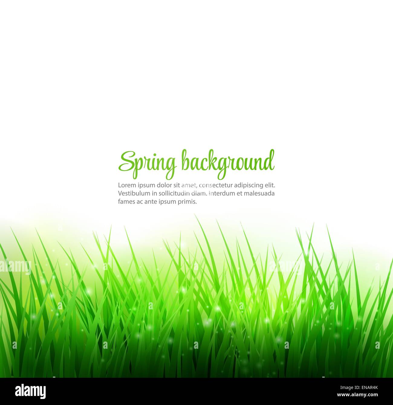 Natural green grass background. Vector illustration. EPS 10 Stock ...