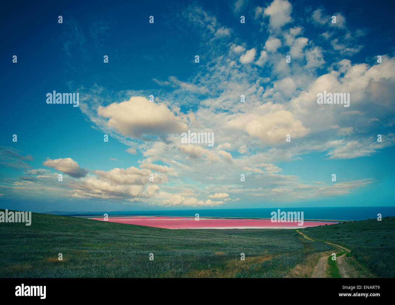 Beautiful pink mud lake Stock Photo - Alamy