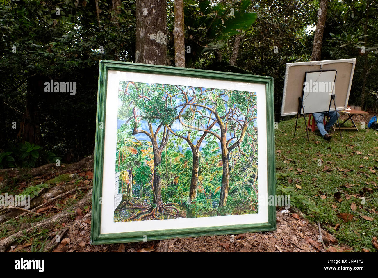 A local man painting at the Morne Seychellois National Park in Mahe ...
